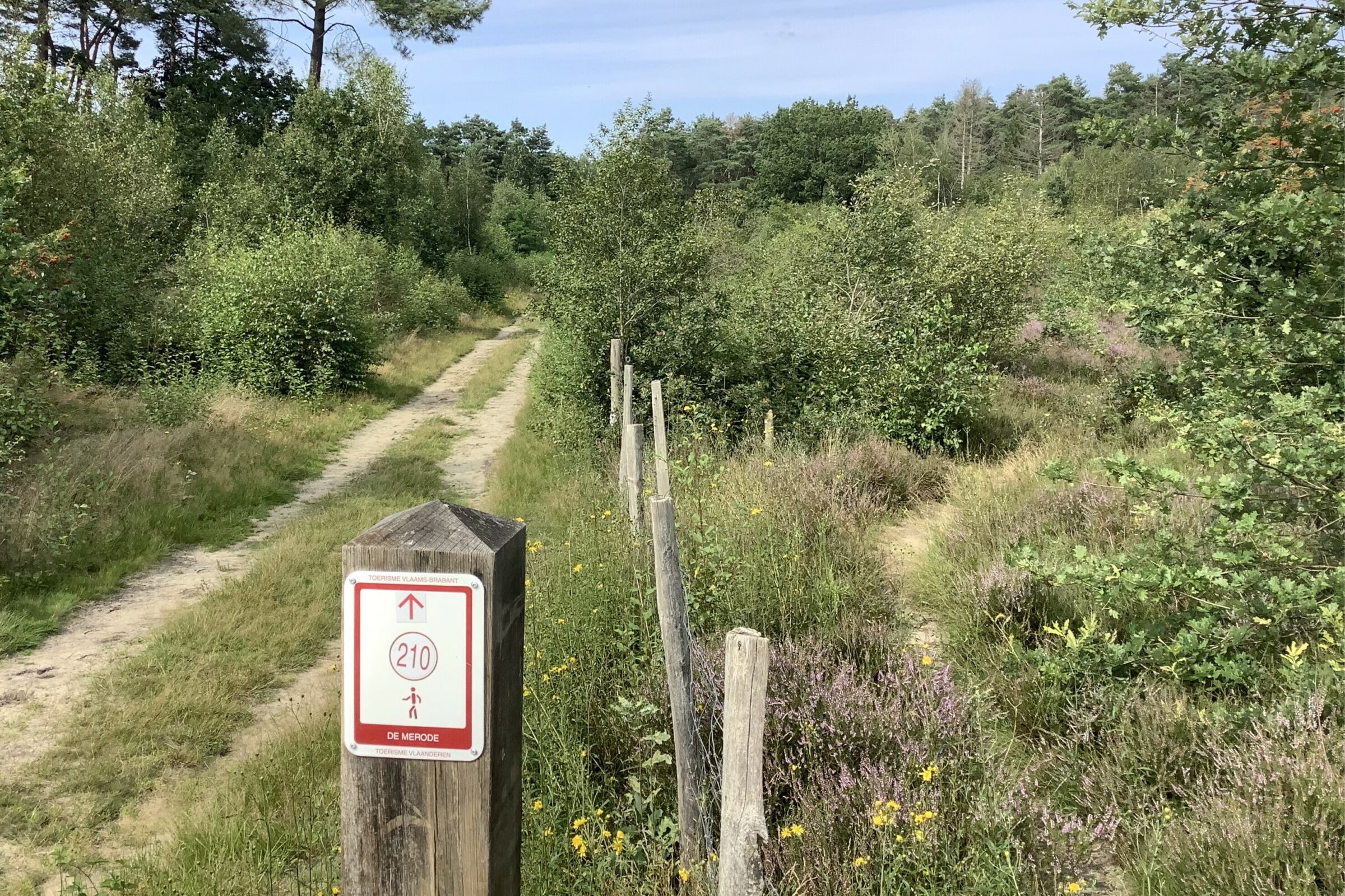 5 redenen voor een weekendje de Merode | Bezoek de Merode